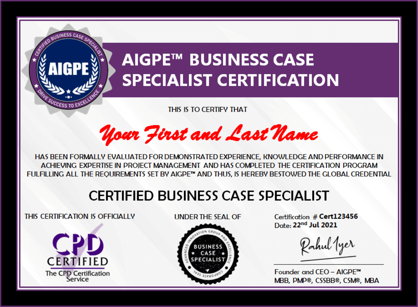 Business Case Specialist - AIGPE